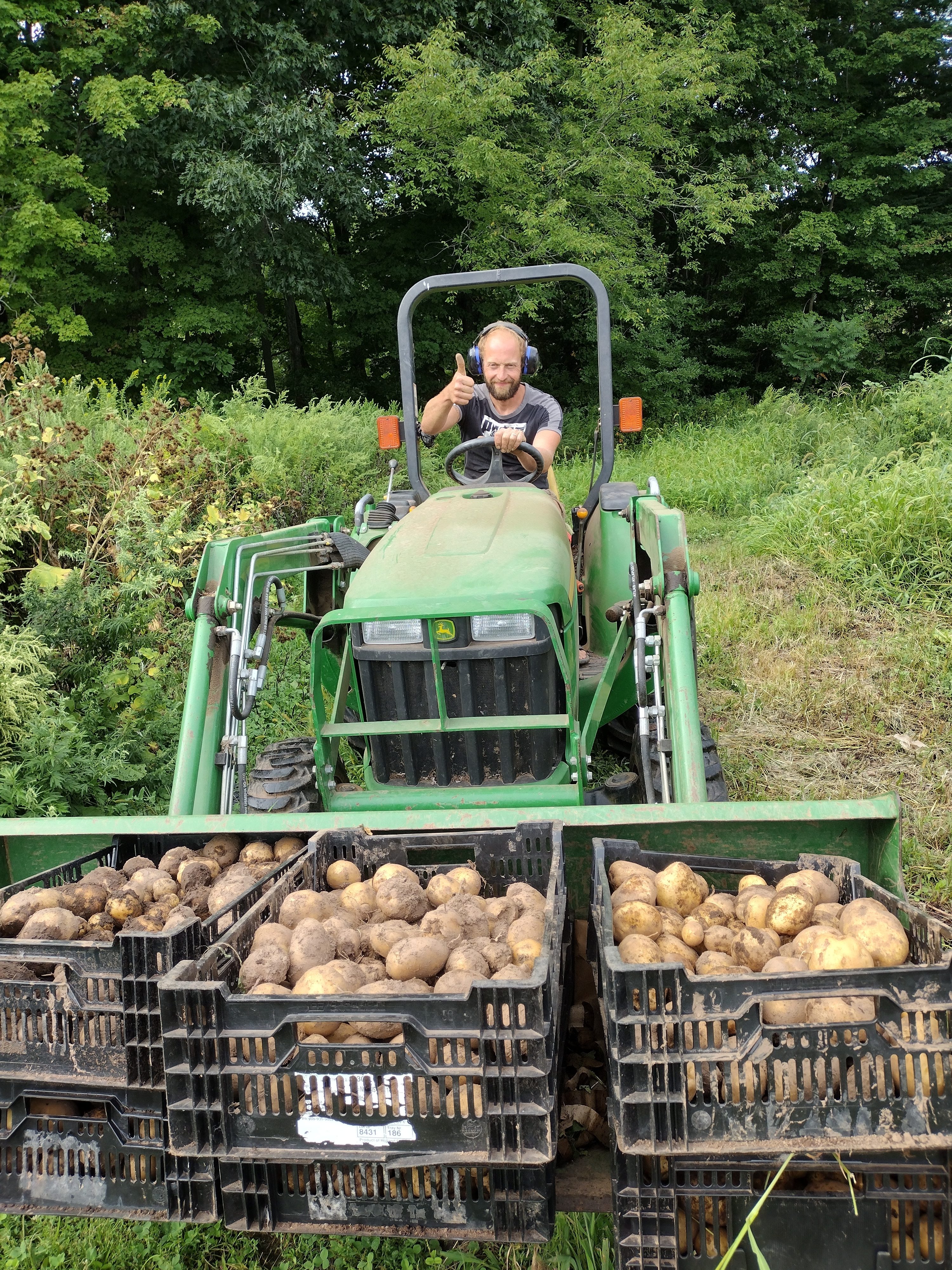 Yup, that time of year already – Star Light Gardens